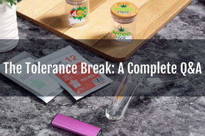 The Tolerance Break: A Complete Q&A | Smoking Outlet